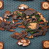 Avatar: The Last Airbender 3D wood map – ZeWood